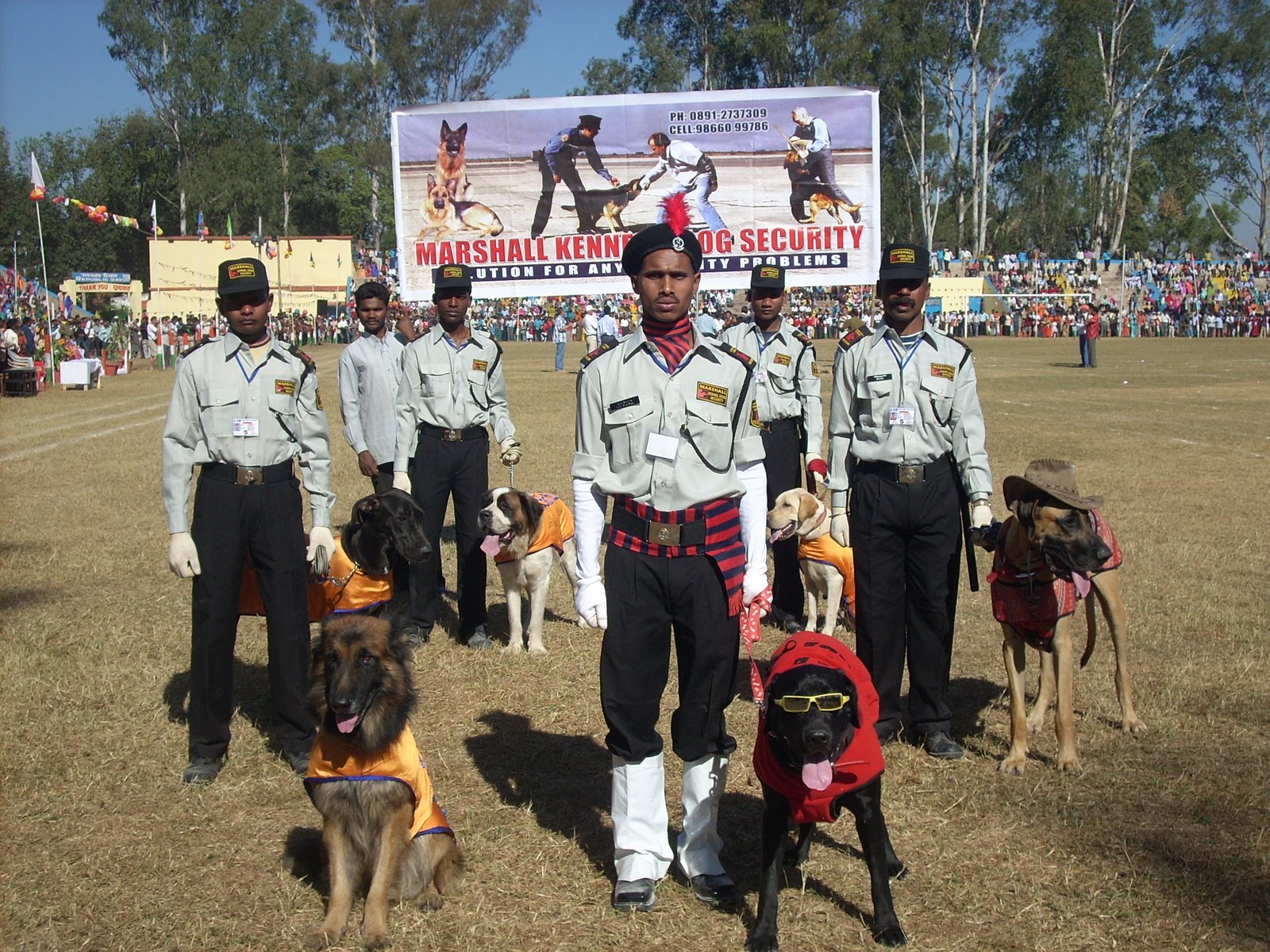 Guard Dog Security | Marshall Security